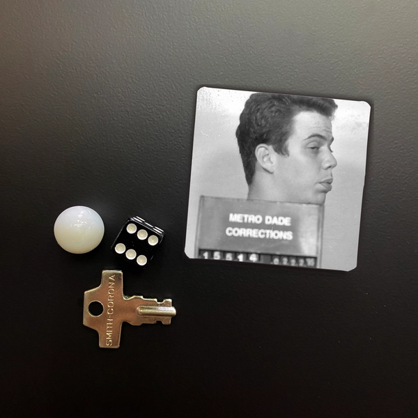 Steve-O Mugshot Square Magnet – Madcap & Co