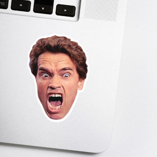 Arnold Schwarzenegger Celebrity Head Vinyl Sticker – Madcap & Co
