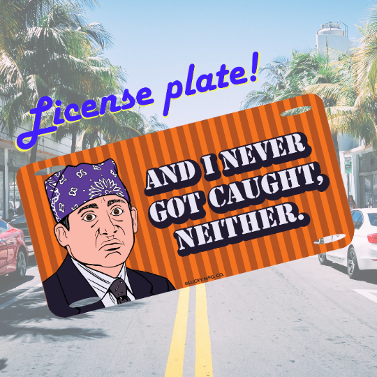 Prison Mike License Plate – Madcap & Co