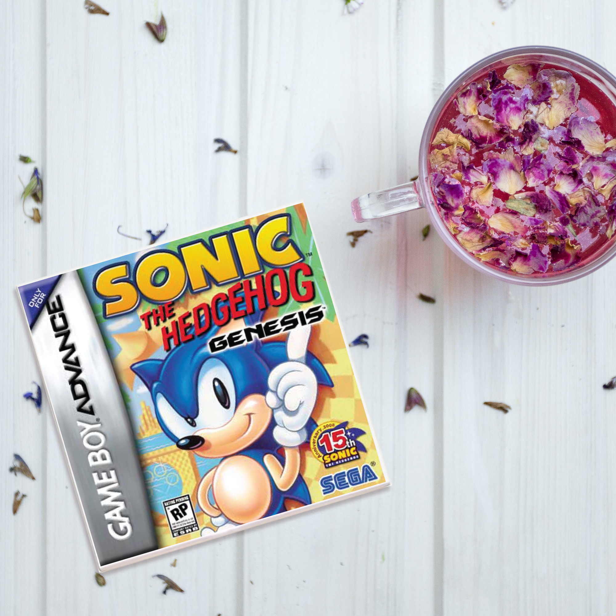 Sega Genesis Sonic The Hedgehog