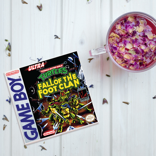 Teenage Mutant Ninja Turtles: Fall of the Foot Clan Video Game Coaster ...