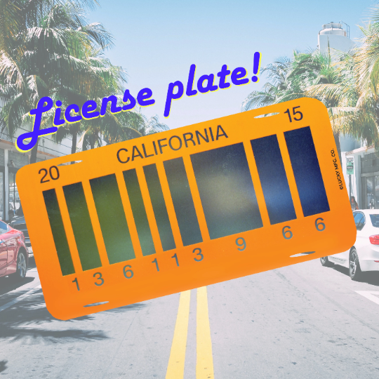 Back to the Future 2 License Plate – Madcap & Co